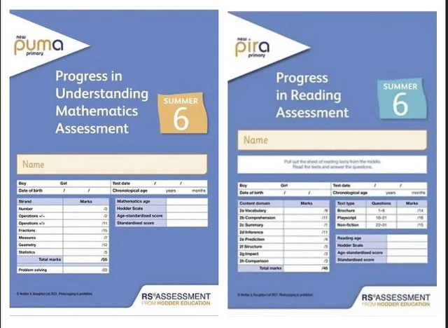 RISING STARS YEAR 6 PUMA & PIRA (summer). with Answers £21.47 - PicClick UK