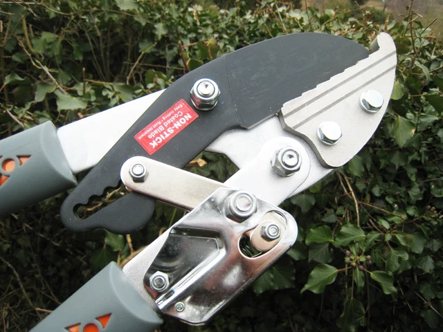 TELESCOPIC RATCHET PRUNER Lopper Pruners Branch Cutters,Telescopic ...