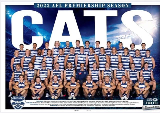 2023 GEELONG CATS TEAM POSTER,AFL FOOTBALL , 2022 premiers EUR 6,52 ...