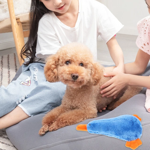 SQUEAKY DOG TOY Aggressive Chewer Cartoon Squeaky Toy Dog Interactive ...