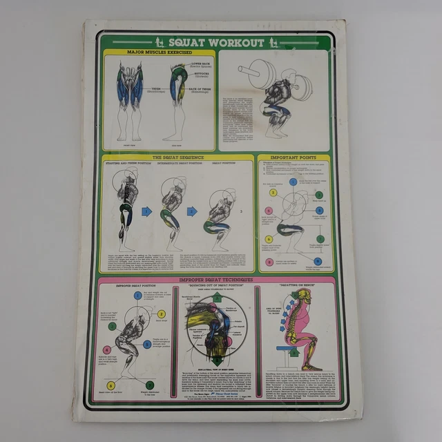 Fitnus Chart Series FOR SALE! - PicClick UK