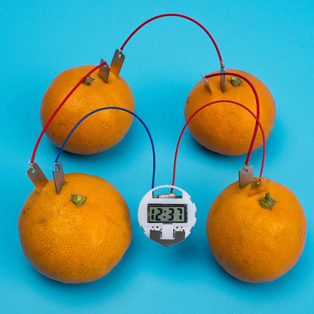 1 SET CHILDREN bio energy science kit fruit supply electricity ...