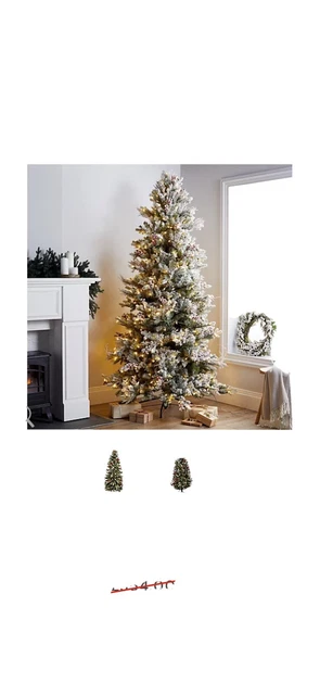 ALISON CORK PRE lit 6ft Frosted sugar spruce Christmas Tree ...