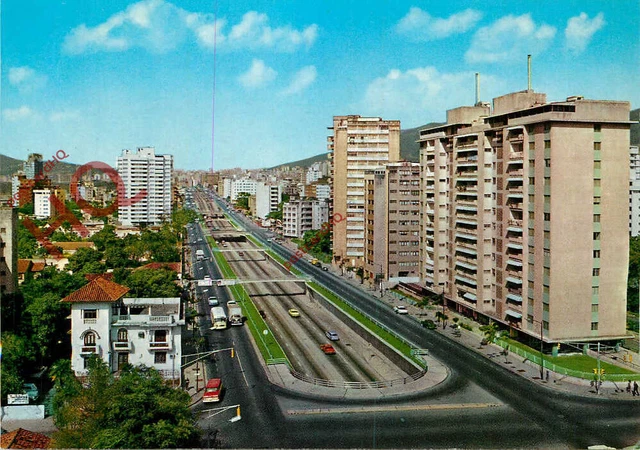PICTURE POSTCARD>>CARACAS, VENEZUELA, Avenida Libertador £2.89 ...