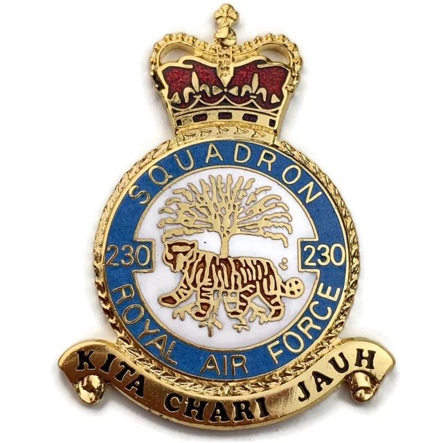 QUEENS CROWN ROYAL Air Force 230 Squadron Unit RAF PLAQUE Badge £14.99 ...