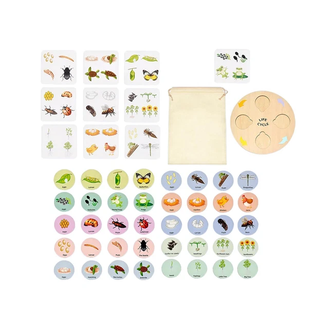 LIFE CYCLE TRAY Flash Cards Montessori Life Cycle Tray for Children ...