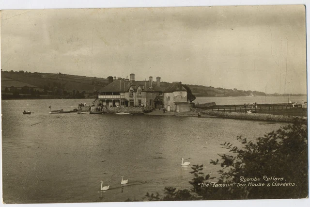 COMBEINTEIGNHEAD COOMBE CELLARS Tea Rooms Devon Real Photo Postcard G19 ...