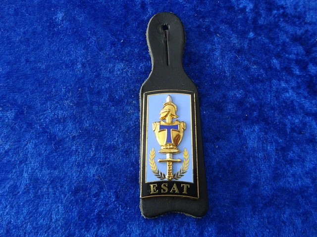 A2-U) FRANKREICH ABZEICHEN:INSIGNE militaire Transmissions Militaire ...