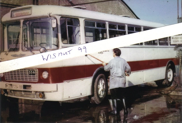 BUS-FOTO DDR OLDTIMER VEB IFA Personennahverkehr Ikarus 556 bei der ...