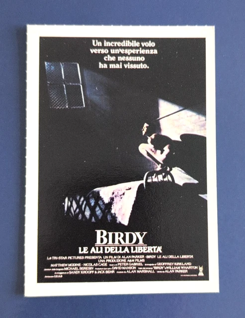 CARTOLINA CINEMATOGRAFICA BIRDY Le Ali Della Libertà 1984 Alan Parker ...