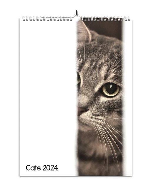 Cats 2024 Wall Calendar With Cats 2024 Year Eur 17 12 Picclick It