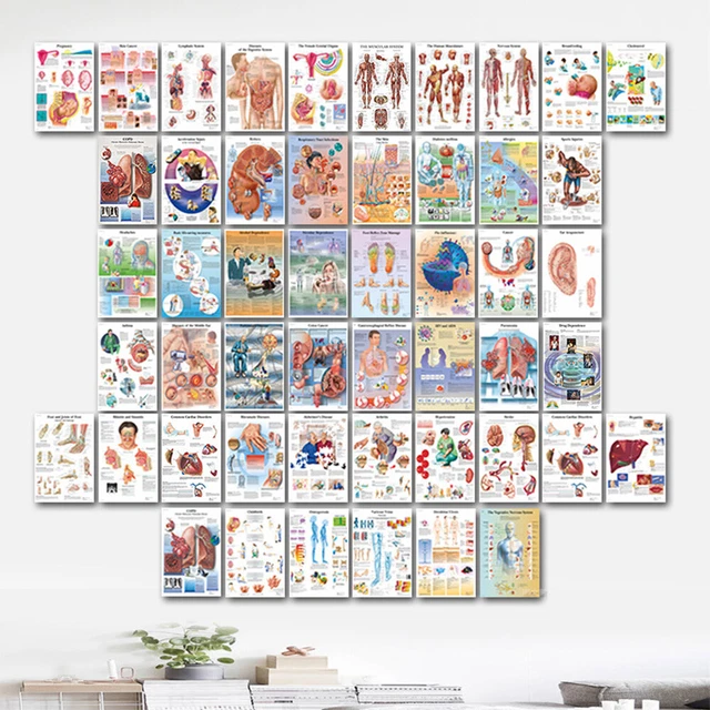 50PCS ANATOMY ORGAN Collage Kit Aesthetic Pictures Poster Bedroom Wall ...