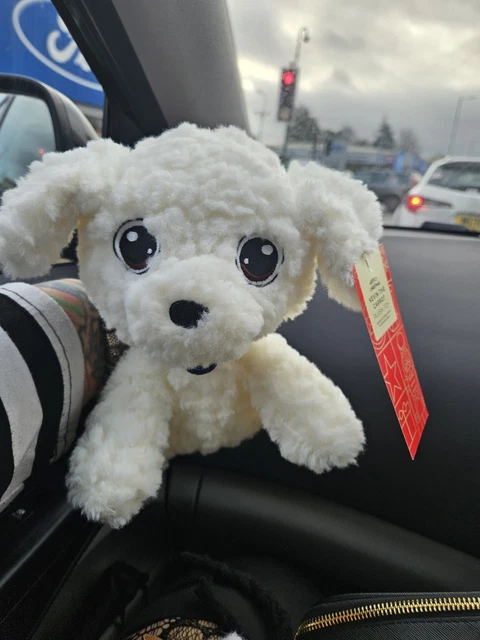 KEVIN THE CARROT 2025 Cauli Dog Plush Toys. £4.38 - PicClick UK