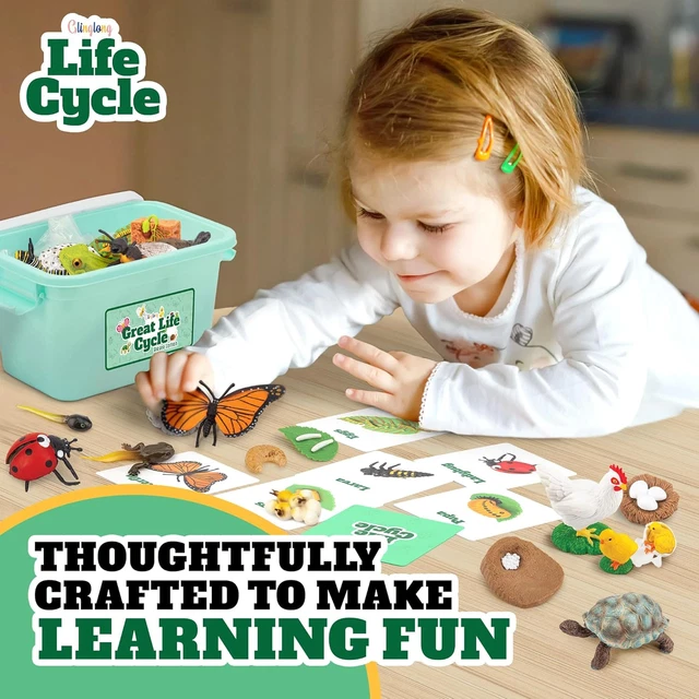 LIFE CYCLE SCIENCE Kit Montessori Realistic Figurine, Kids Animal ...