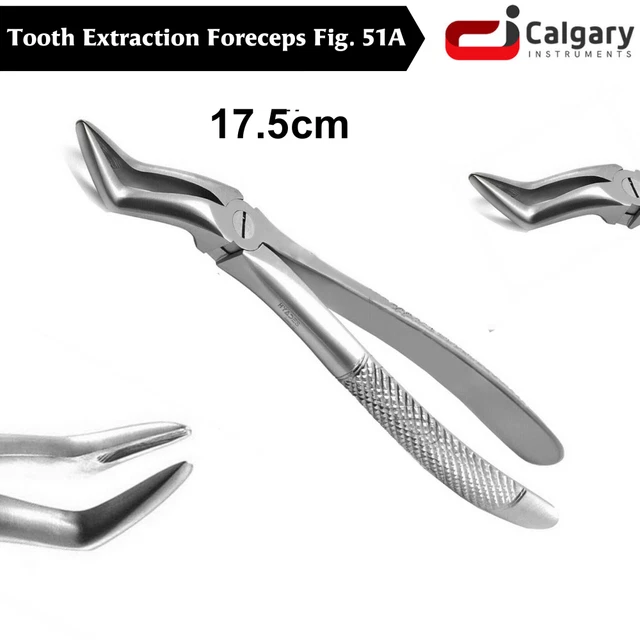 TOOTH EXTRACTION FORCEPS FIG # 51A Upper Roots Extracting Dental ...