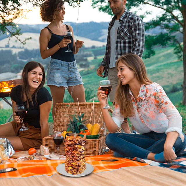 5# REMOVABLE BBQ Rack Replace Spikes Vertical Meat Chicken Skewer Grill ...