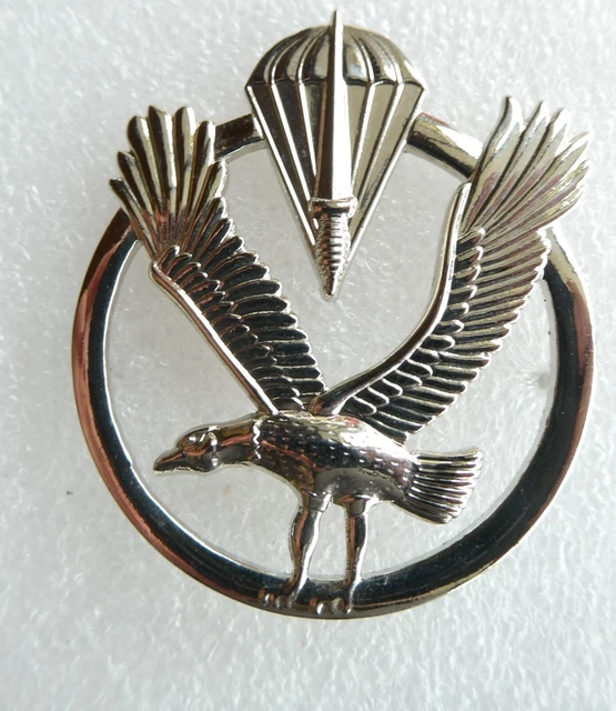 BELGIQUE EQUIPES SPECIALES Renseignement Para Commando Insigne Beret ...