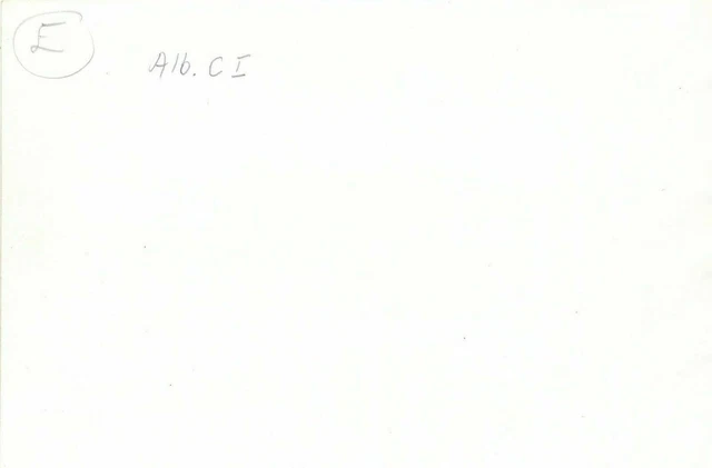 FOTO FLUGZEUG AUFKLÄRER Albatros C.I zweistieliges Tragwerk 180 PS F1 ...