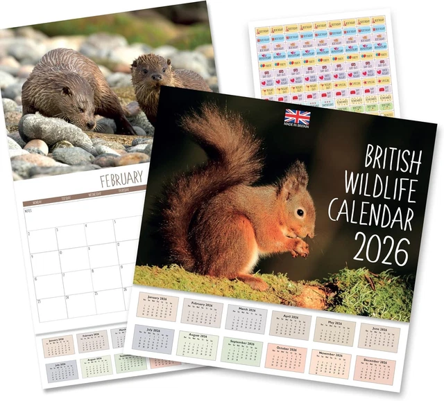 QUALITY 2026 BRITISH Wildlife Calendar - A3 Monthly Planner for Home ...