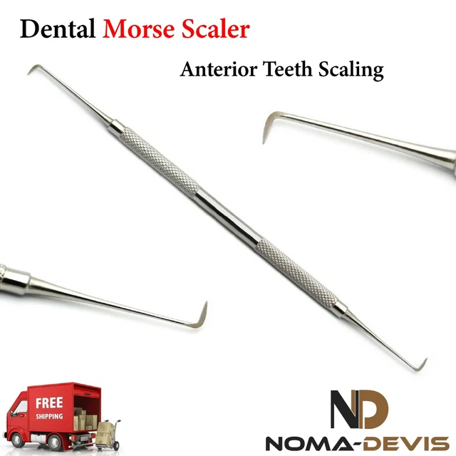 Dental Pick 6Dental Morse Scaler Periodontal Curette Sickle Scaler ...