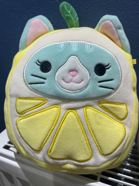 SQUISHMALLOWS CORINNA LEMON Cat corrina Regina Corgi Soft Plush Toy ...