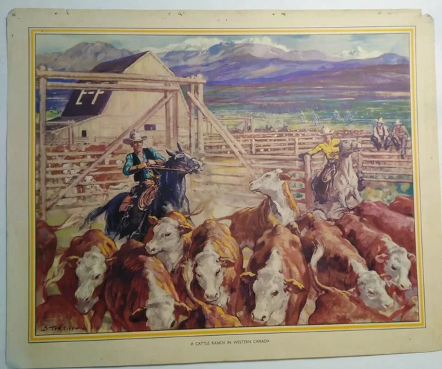 VINTAGE MACMILLAN EDUCATION School Poster 1920’s Cattle Ranch In ...
