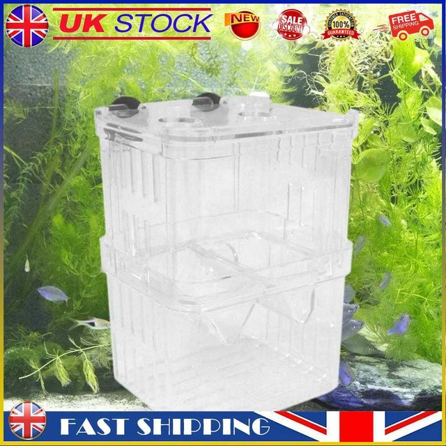 ACRYLIC FISH BREEDING Box Aquarium Isolation Double Guppies Hatching ...