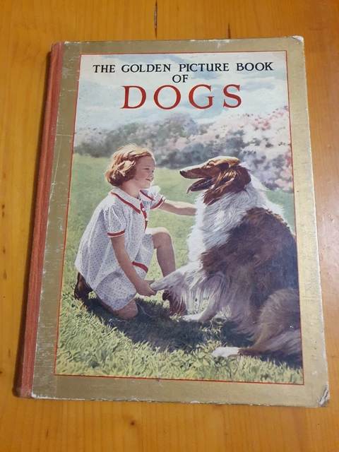 THE GOLDEN PICTURE Book Of Dogs. Childrens Picture Story Book. c1940's ...