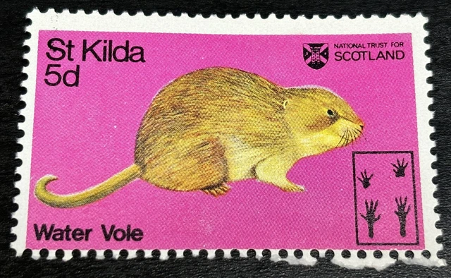 ST. KILDA MH Stamp - National Trust of Scotland Water Vole 5d, 1969 £1. ...