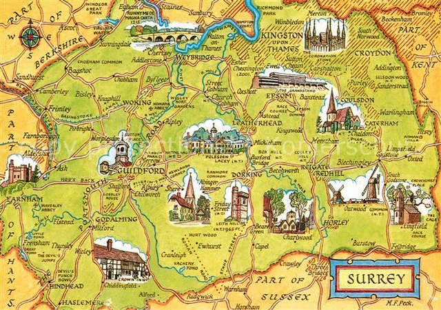 72768918 SURREY MAP carte avec des curiosités visuelles Surrey EUR 3,95 ...