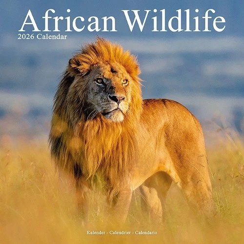 AFRICAN WILDLIFE CALENDAR 2026 Square Wildlife Safari Wall Calendar ...