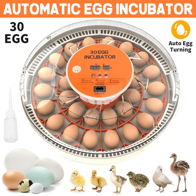 30 PC EGG Digital Egg Incubator LED Fully Automatic Turning Chicken ...