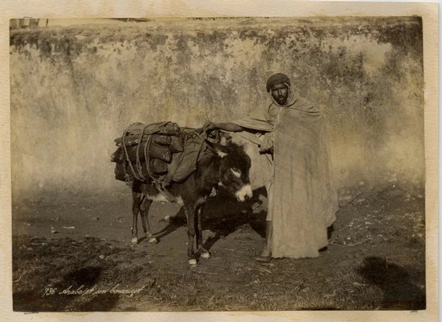 ALGÉRIE, UN HOMME et son âne vintage albumen print, Algeria Tirage albuminé EUR 99,00 - PicClick DE