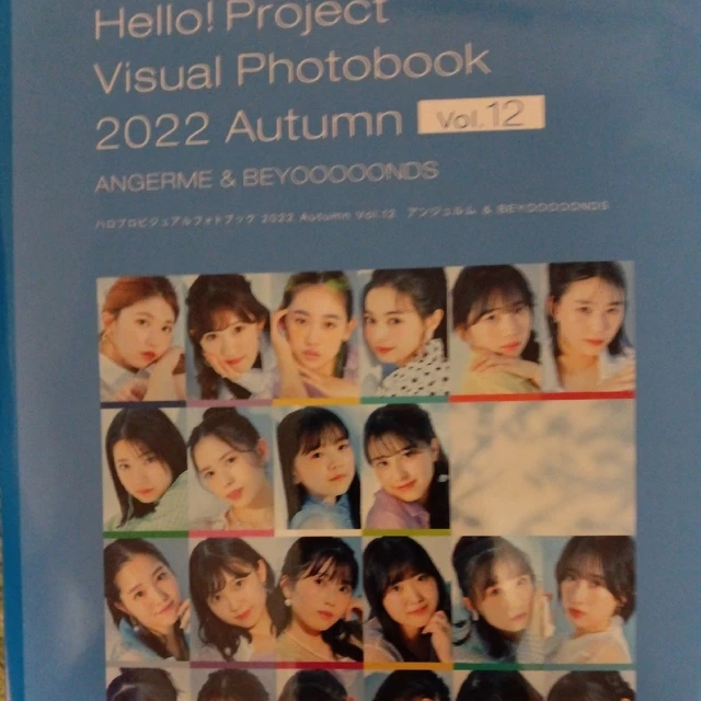 HELLO PRO VISUAL Photo Book Vol. 12 2022 £28.24 - PicClick UK