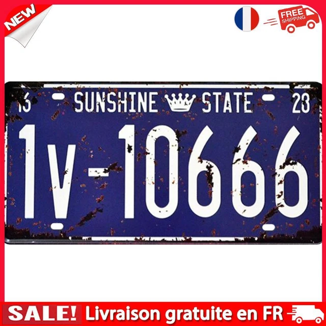 PLAQUE D'IMMATRICULATION EN métal 1V-10666, Plaque en étain pour ...