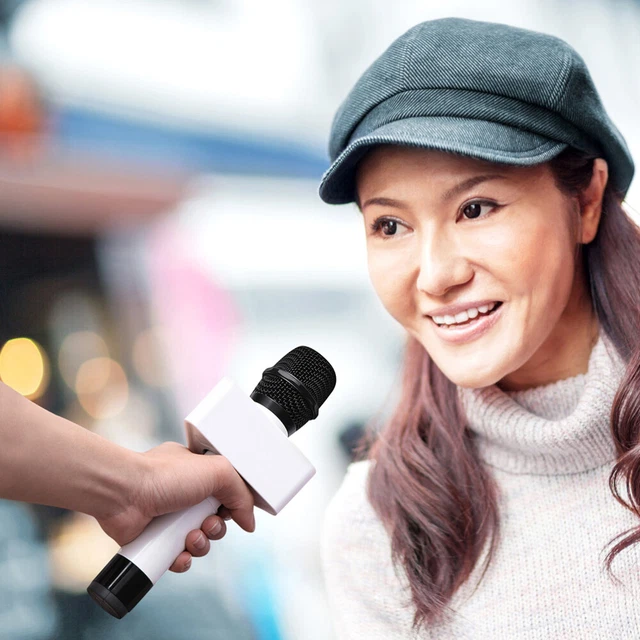 4PCS MICROPHONE FLAG Station Interview Mic Microphone Flag Station ...