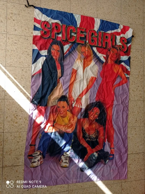 DRAPEAU POSTER SPICE girls world Rare Vintage Collector Chambre années ...