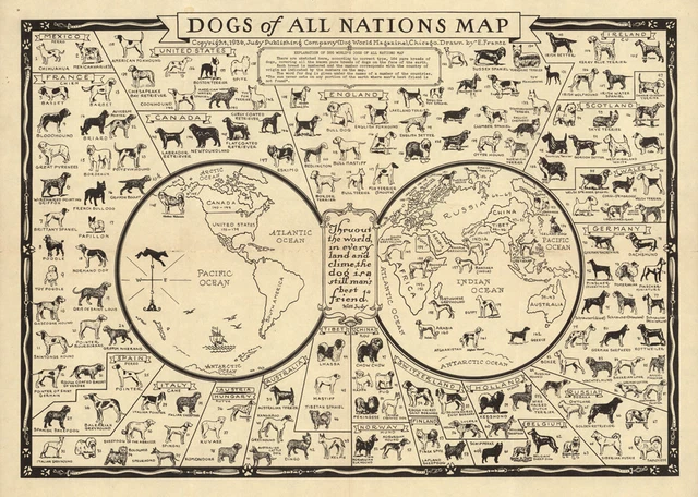 VINTAGE ILLUSTRATED WORLD Map with Dog breeds of Nations CANVAS PRINT ...