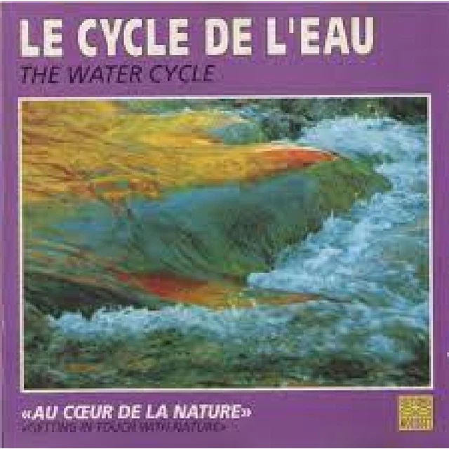 CD DOMINIQUE BOUVIER - Le Cycle De l'Eau / The Water Cycle (1993) EUR 3 ...