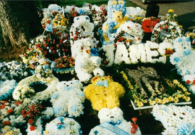 THE ASSASSINATION OF James Bulger Murder Case - Vintage Photograph ...