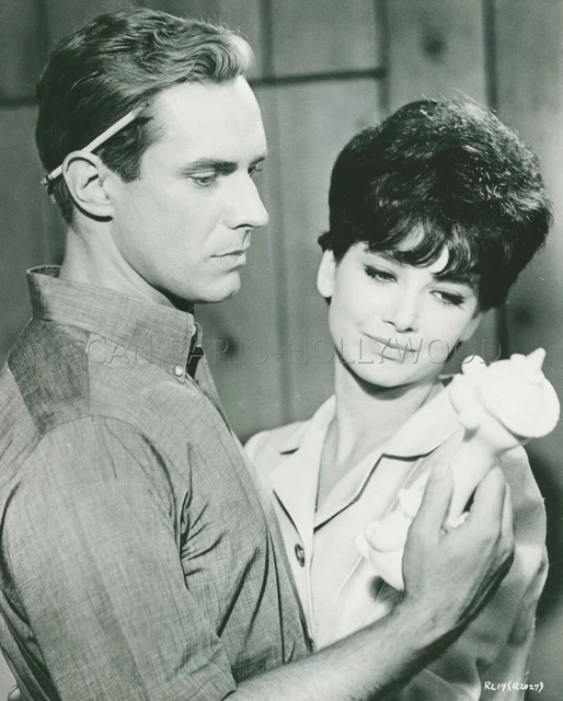 SUZANNE PLESHETTE BRADFORD Dillman A Rage To Live 1965 Photo Original ...