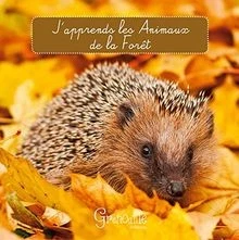 JAPPRENDS LES ANIMAUX DE LA FORET de Céline Lamour-Crochet | Livre ...