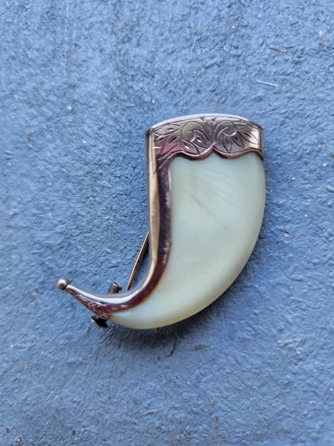 ANCIEN BROCHE GRIFFE De Tigre Ou Lion Monture Or 14 K EUR 137,00 ...