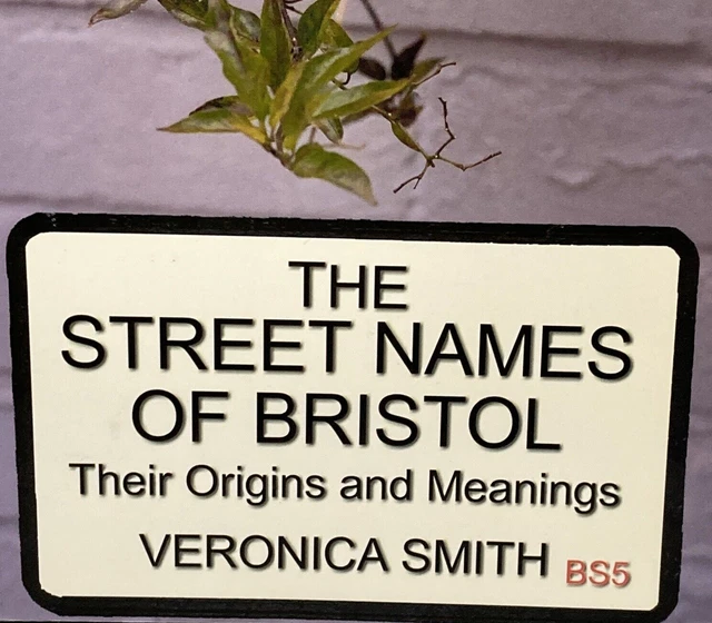 THE STREET NAMES of Bristol Origins & Meanings Paperback by Veronica ...