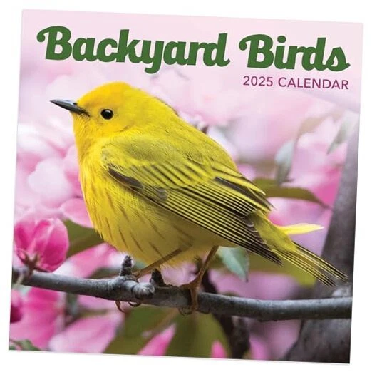 2025 BACKYARD BIRDS Mini Calendar | Large Grids for Appointments and £ ...