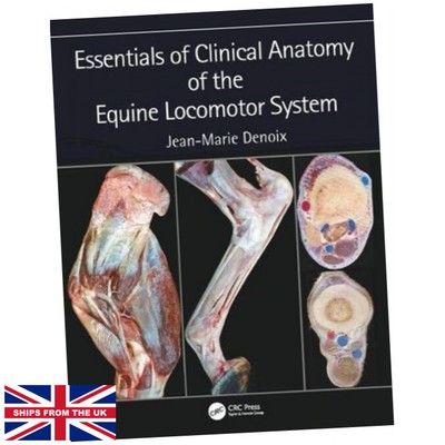 ESSENTIALS OF CLINICAL Anatomy of the Equine Locomotor System (Hardback ...