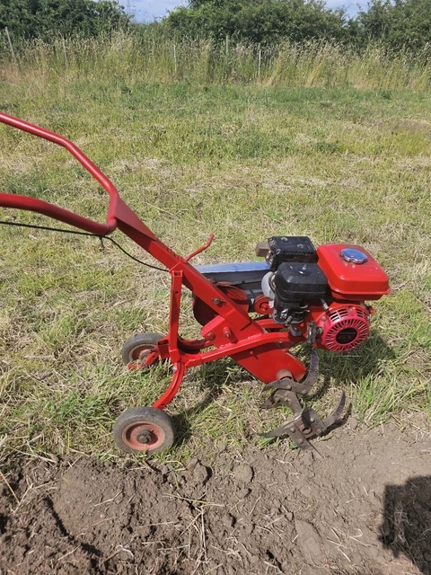 TEMPLAR TILLER ROTAVATOR Fully Restored Mint Condition £150.00 ...