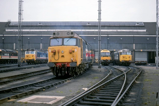 ORIGINAL 35MM SLIDE BR Class 50s no. 50034/036/040 at Old Oak +rights ...