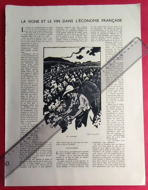 ARTICLES DE PRESSE: LA VIGNE ET LE VIN illustrations de GEO HAM 1941 ...