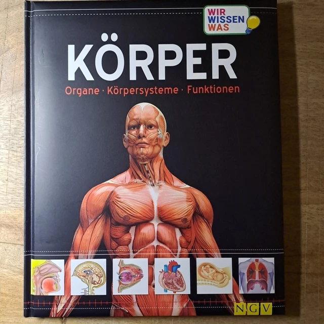 ERLEBNISWELT WISSEN KÖRPER / Organe, Körpersysteme, Funktionen EUR 2,00 ...